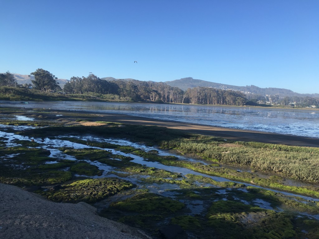 IMG_4776 - Morro Bay National Estuary Program