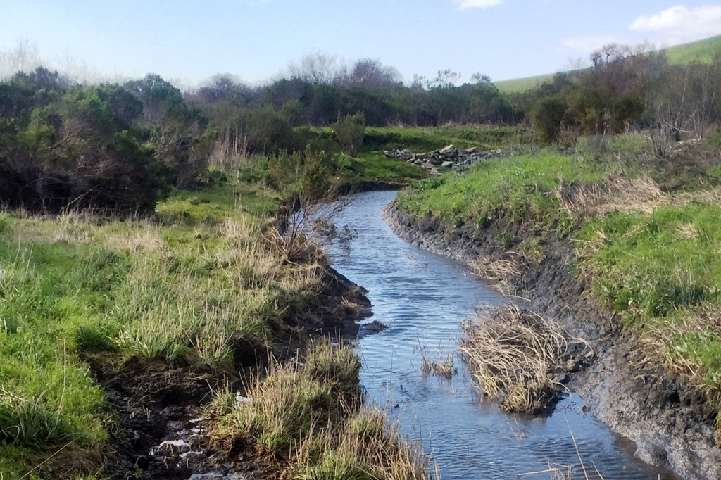 Restoration & Conservation