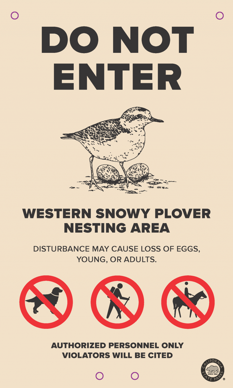Snowy Plover Sign Proof with Updated Text Beige - Morro Bay National ...