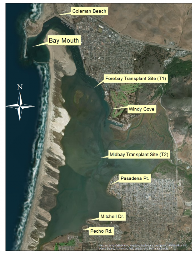 Bay map with sample sites - Morro Bay National Estuary Program