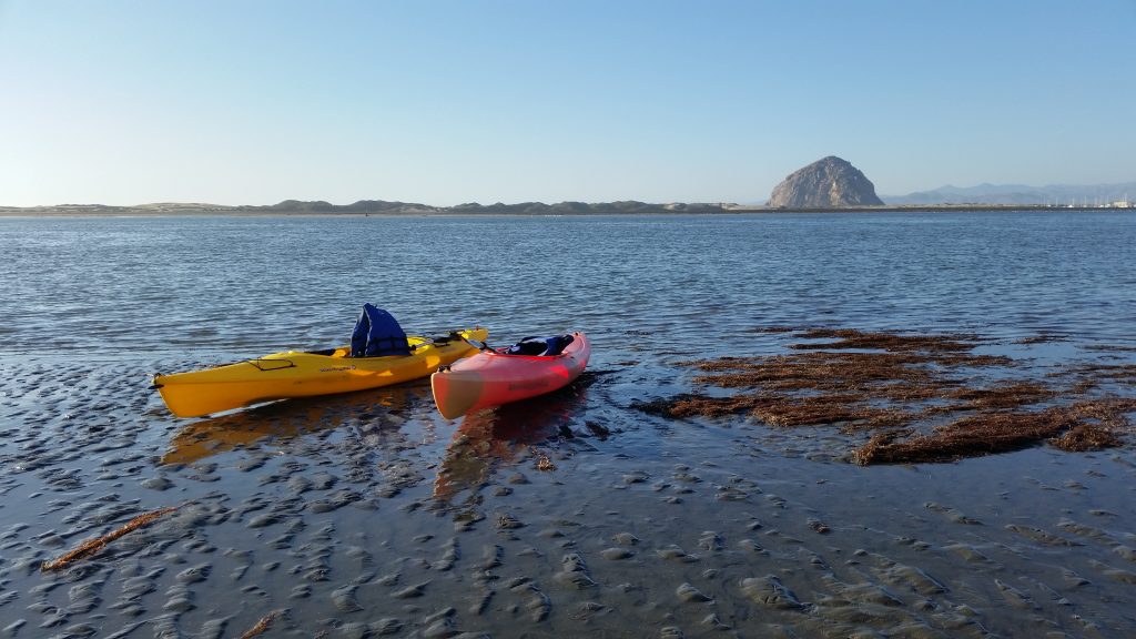 20141107_152332 - Morro Bay National Estuary Program