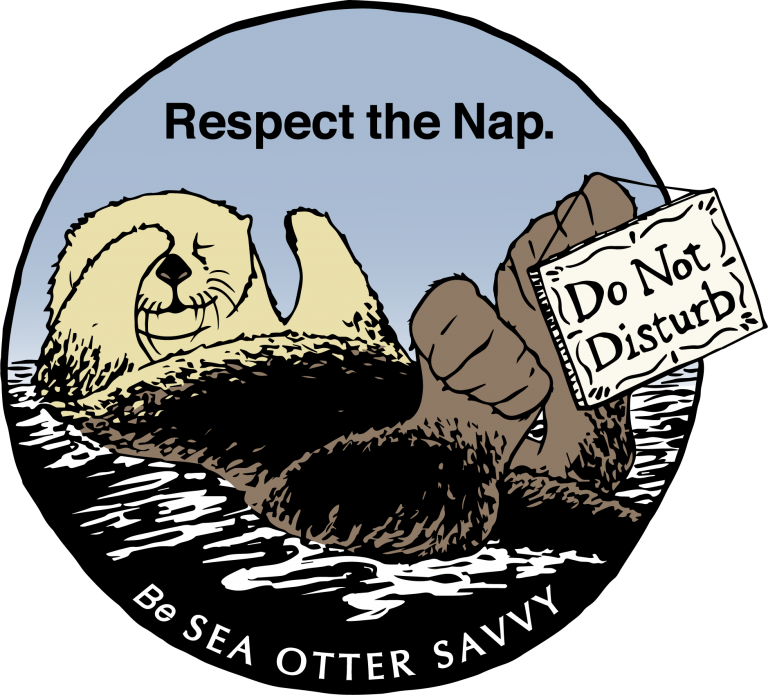 Be Sea Otter Savvy 2: Guidelines for Observing Sea Otters Safely