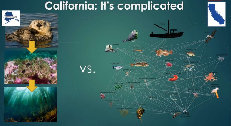 Trophic Cascades Usgs Morro Bay National Estuary Program