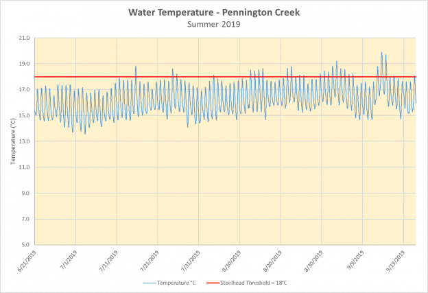 Continuous Water Temperature Monitoring in Our Creeks