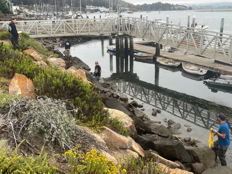 Morro Bay National Estuary Program