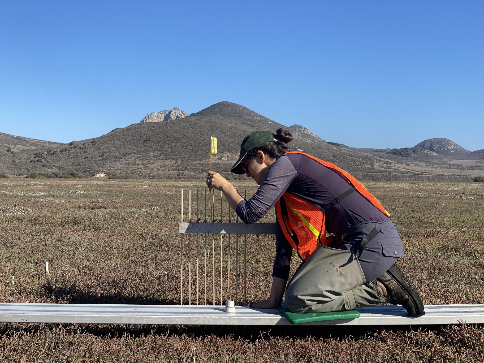 Field Updates November 2022: Monitoring Salt Marsh Elevation Changes
