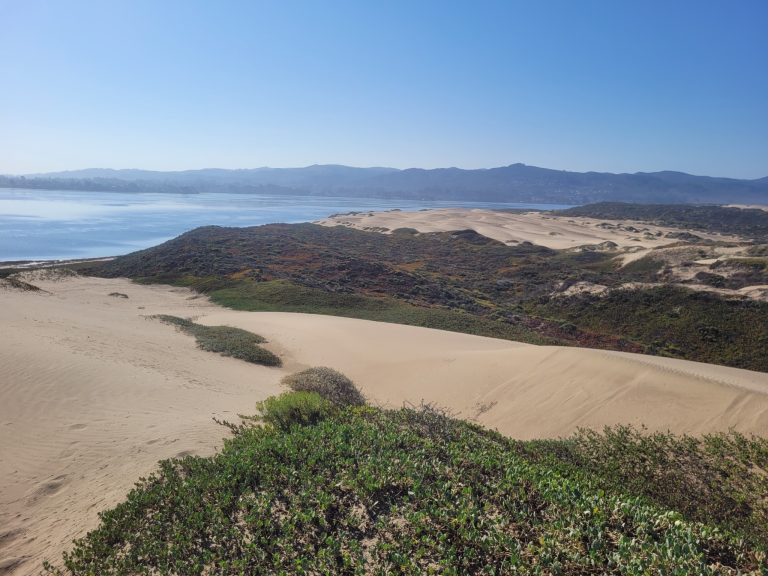 Morro Bay National Estuary Program