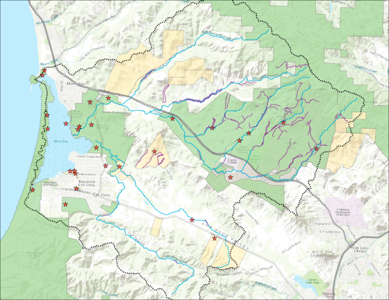 Are important natural areas being protected, enhanced, and restored ...