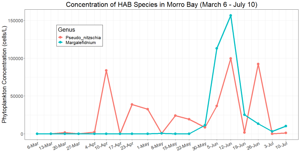 Harmful Algae Blooms and their Impacts on Marine Mammals