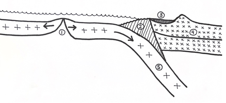 A Geologic History of Morro Rock