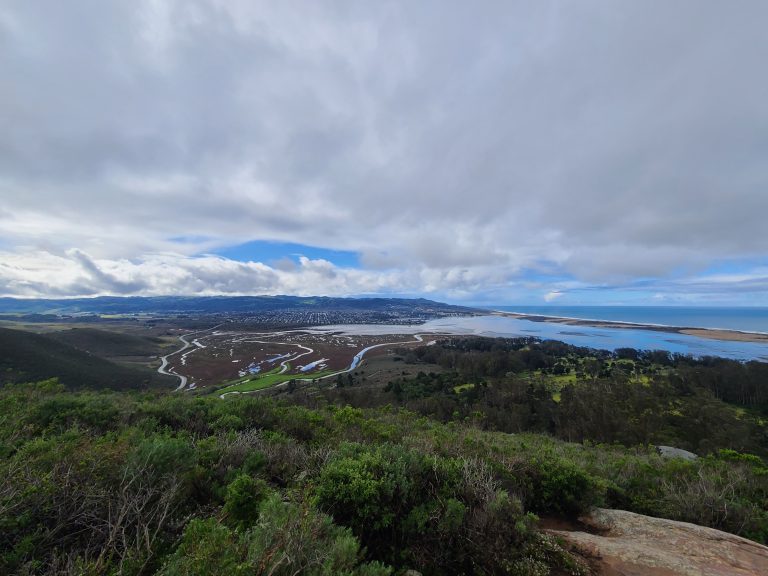 estuary from black hill - Morro Bay National Estuary Program