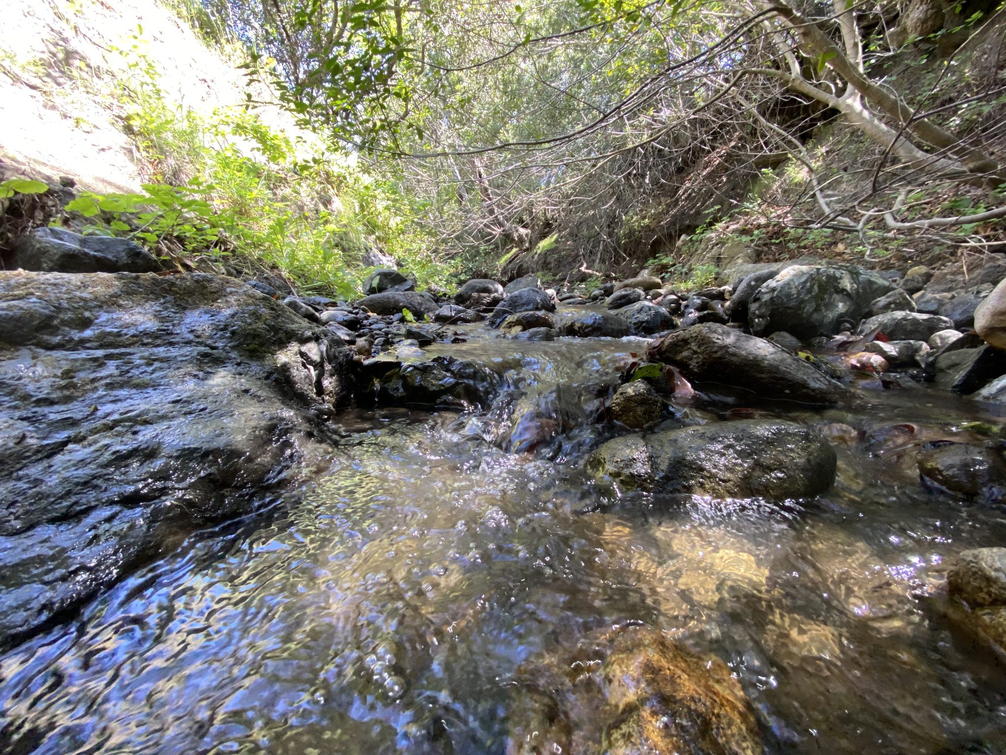 Morro Bay National Estuary Program